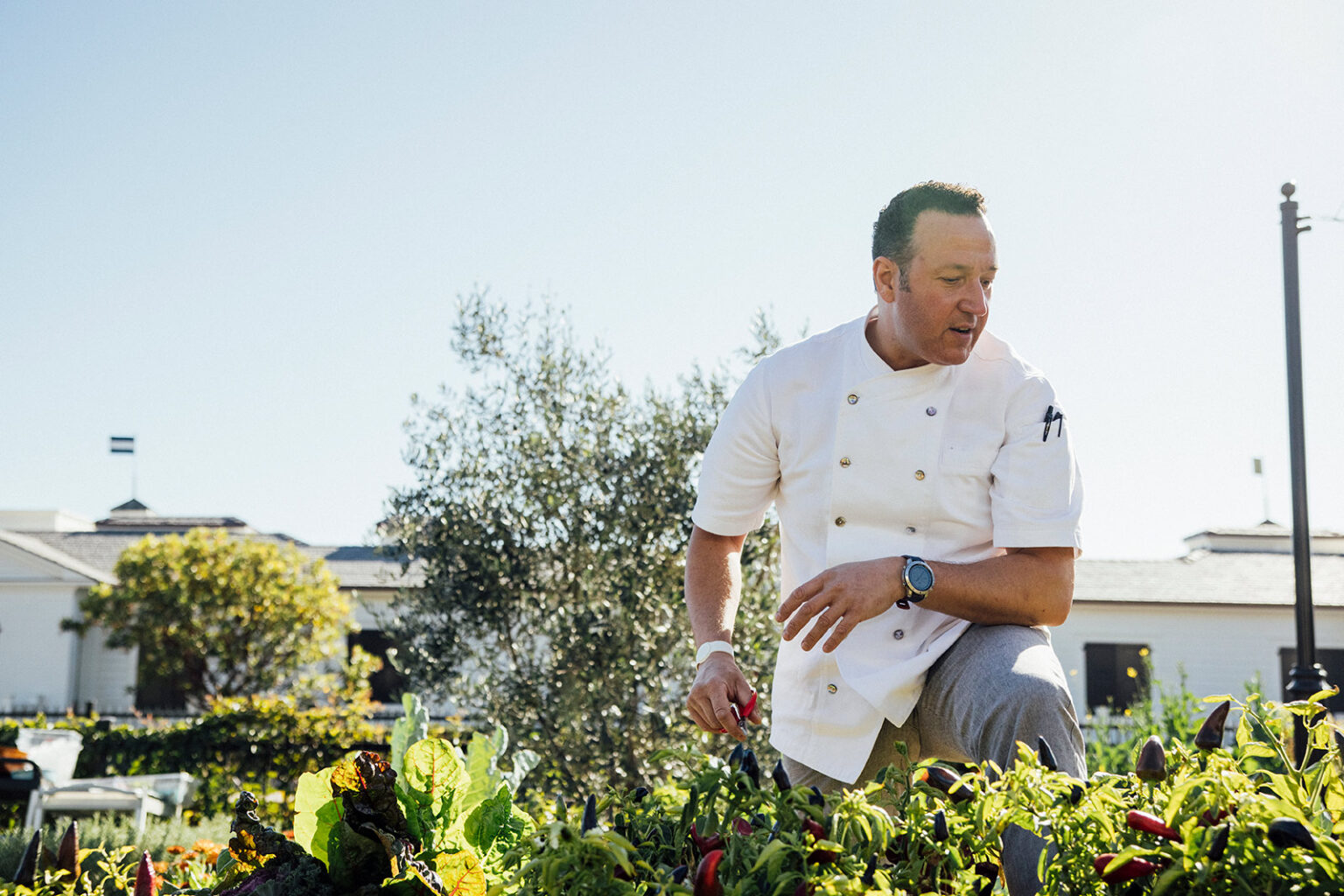 Meet Massimo – Chef Massimo Falsini